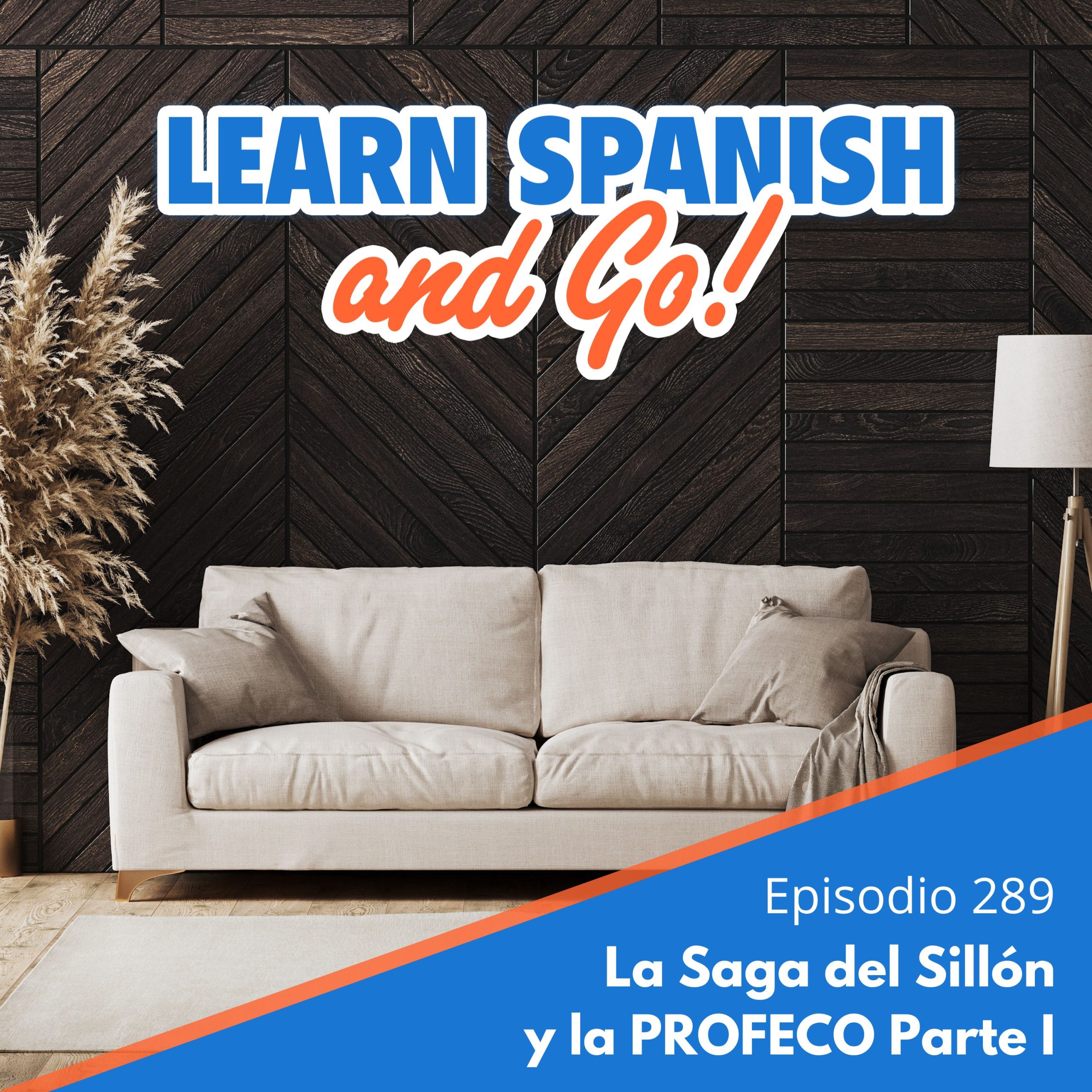 289 - La Saga del Sillón y la PROFECO Parte I | The Saga of the Couch ...